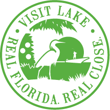 Visit Lake Logo - 1 color, green (PNG)